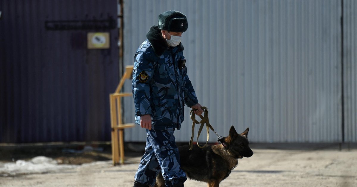Kiev announces death of journalist Victoria Roshchyna, imprisoned in Russia