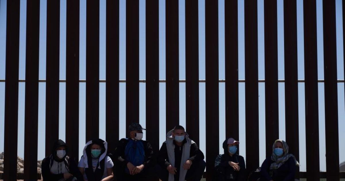 Report: This is the digital identification card that the Biden ...