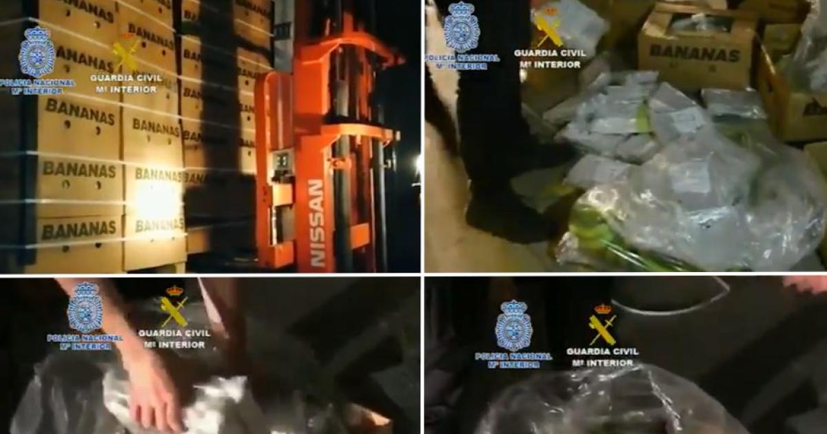 Banana boxes: how cartels in Ecuador are trafficking drugs