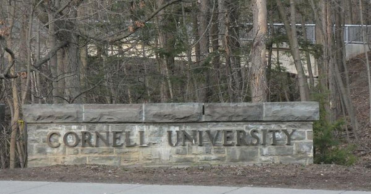21-Year-old engineering student arrested for making ‘horrendous ...