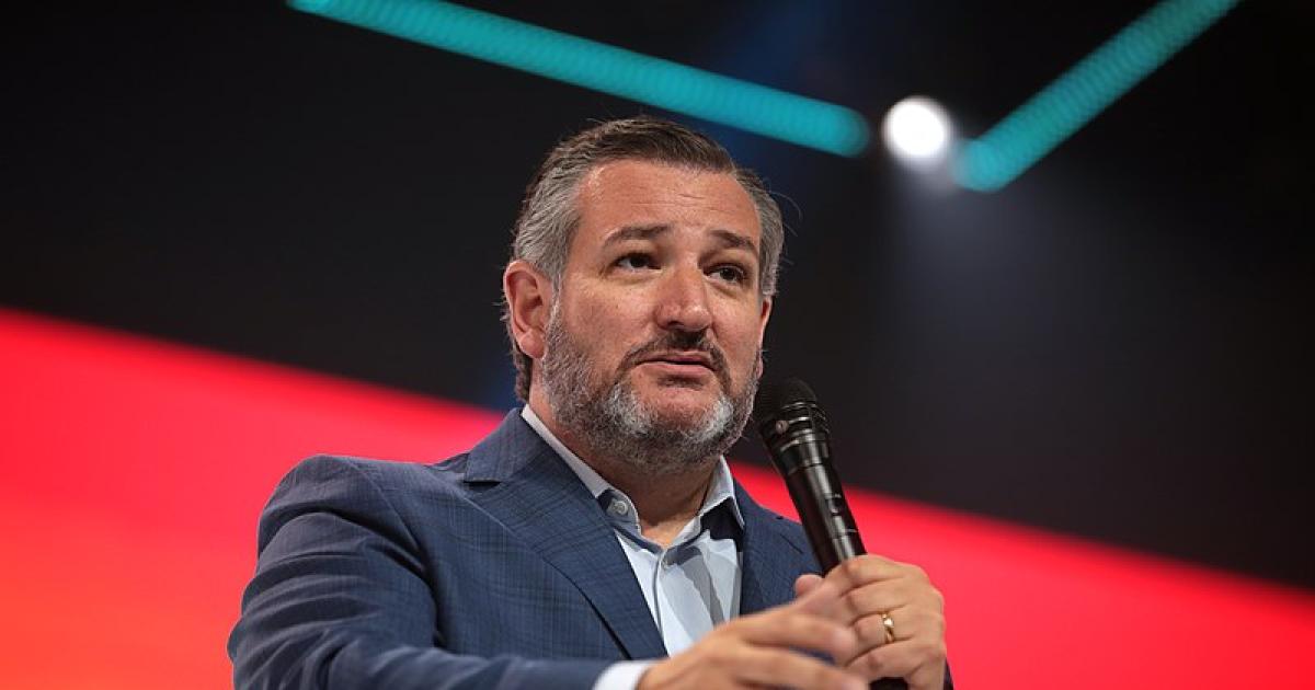 Ted Cruz on his possible Democratic opponent for 2024: "Allred is too ...
