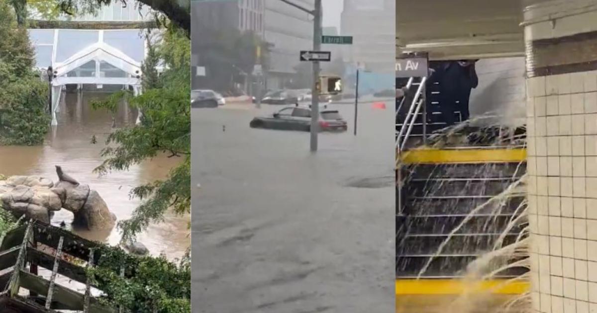 Las Impactantes Imágenes De Las Inundaciones En Nueva York Buses