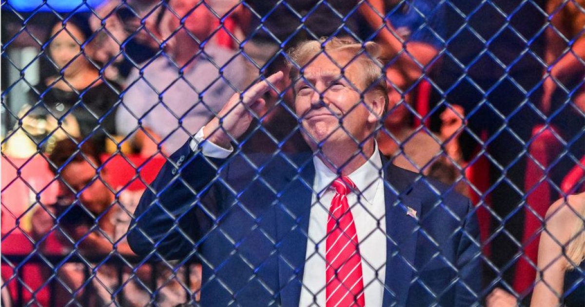 'The Apprentice': Donald Trump biopic premieres at Cannes Film Festival