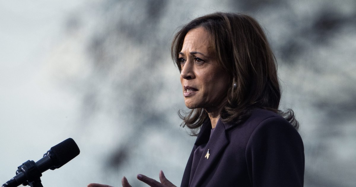 Large share of Democratic voters want Kamala Harris as their candidate ...