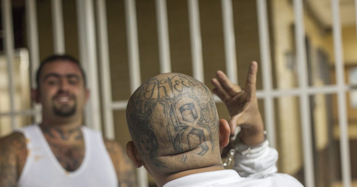 10 illegal immigrants accused of belonging to MS-13 and Tren de Aragua gangs deported to El Salvador