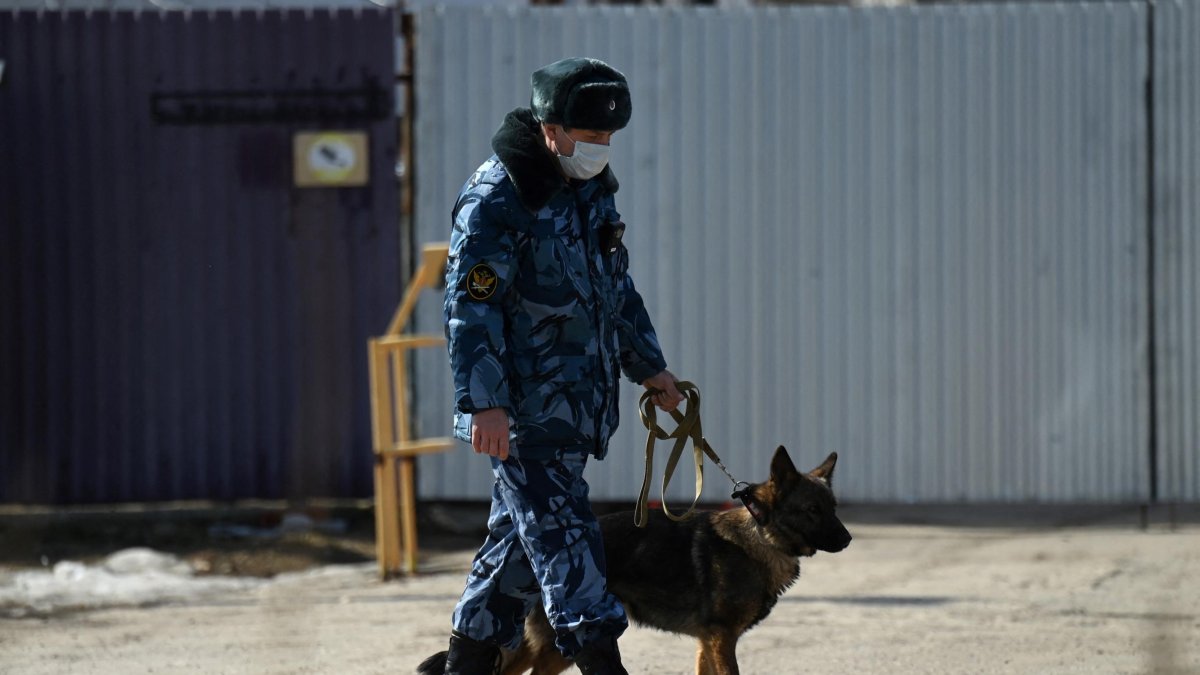 Kiev announces death of journalist Victoria Roshchyna, imprisoned in Russia