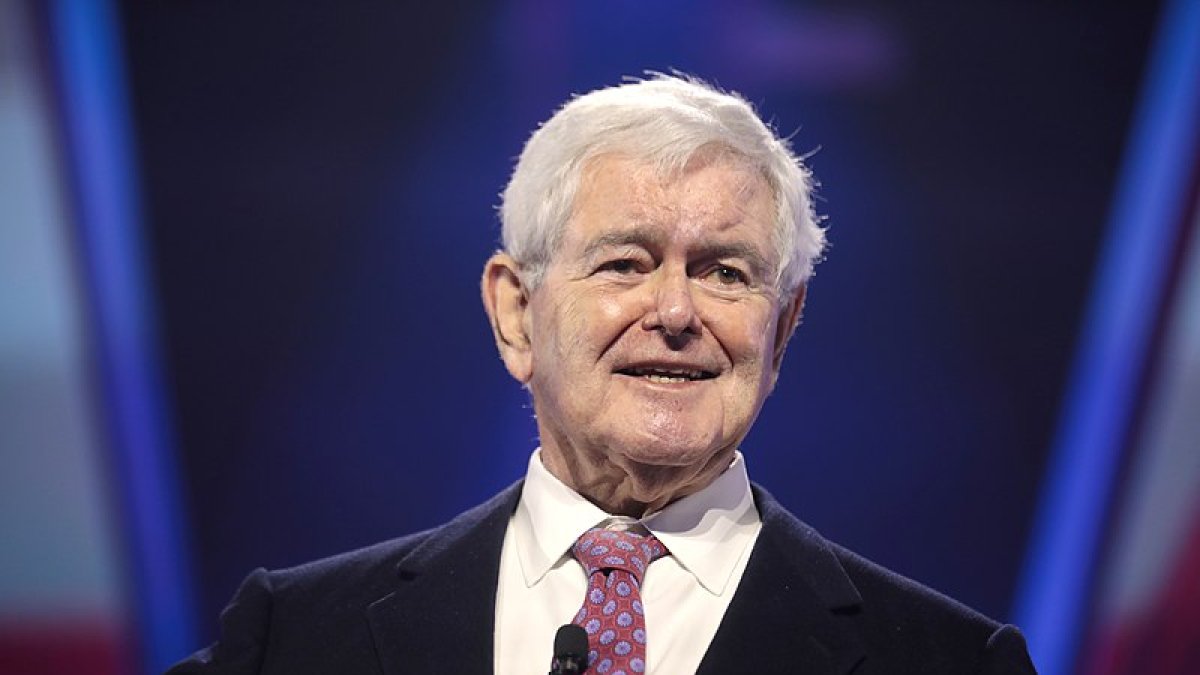 Newt Gingrich sobre las primarias republicanas: "Trump descorcha el ...