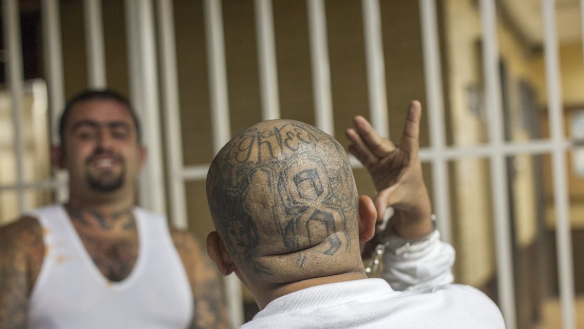 MS-13 gang members stab five Virginia corrections officers