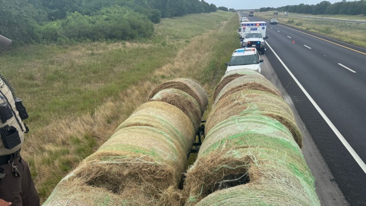 Border Patrol finds 13 illegal immigrants hidden inside hay bales on a ...