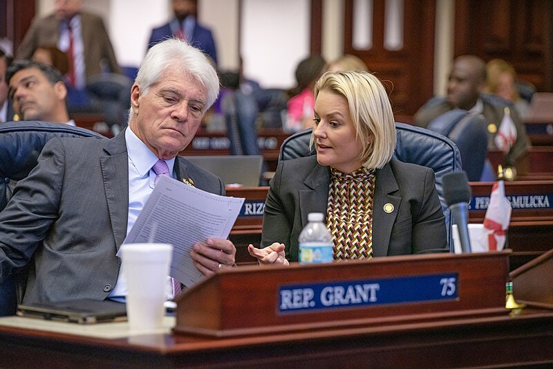 Florida Rep. Hillary Cassel breaks with Democrats and joins Republican ...