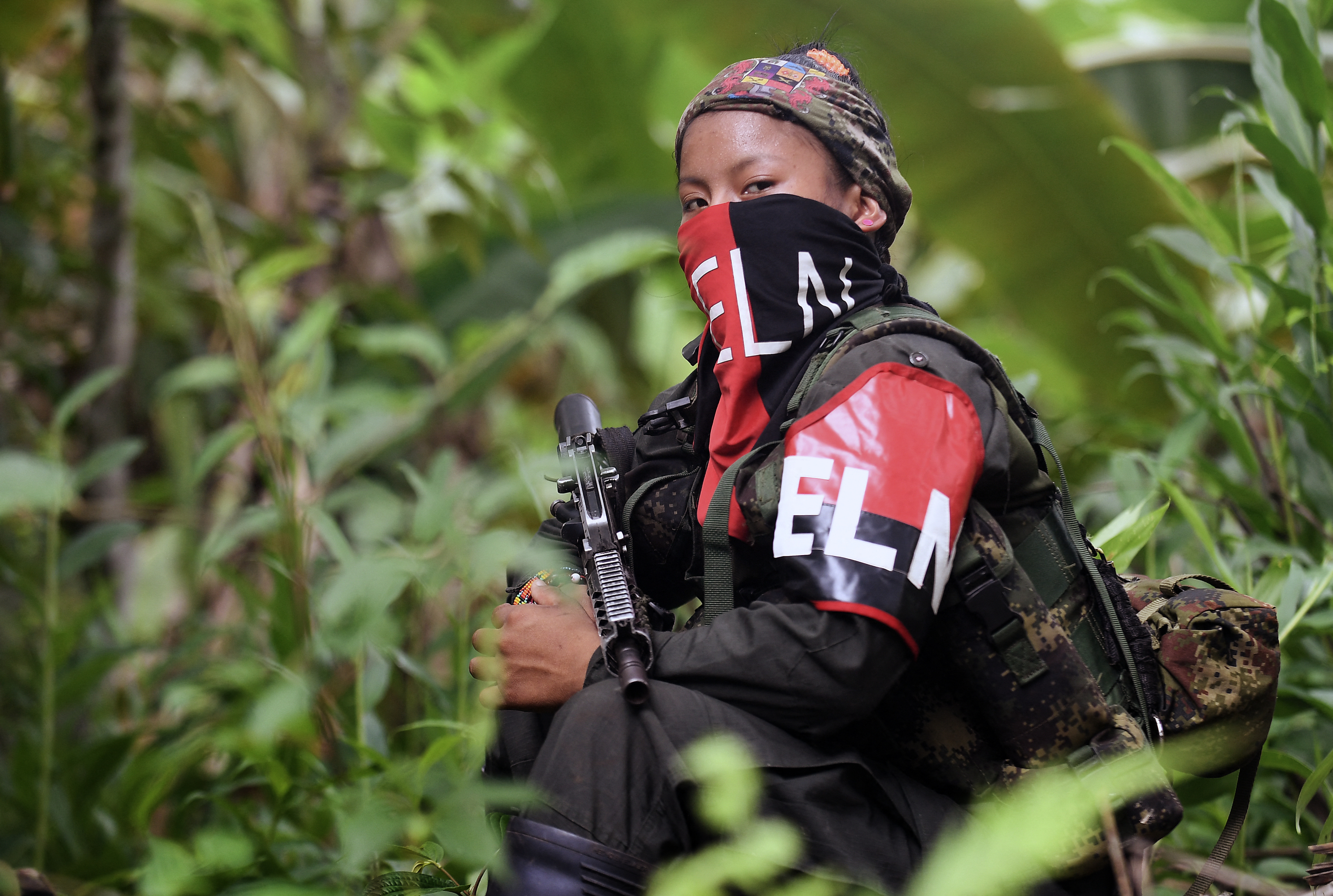 Intelligence report reveals ELN terrorist group traveled from Venezuela ...