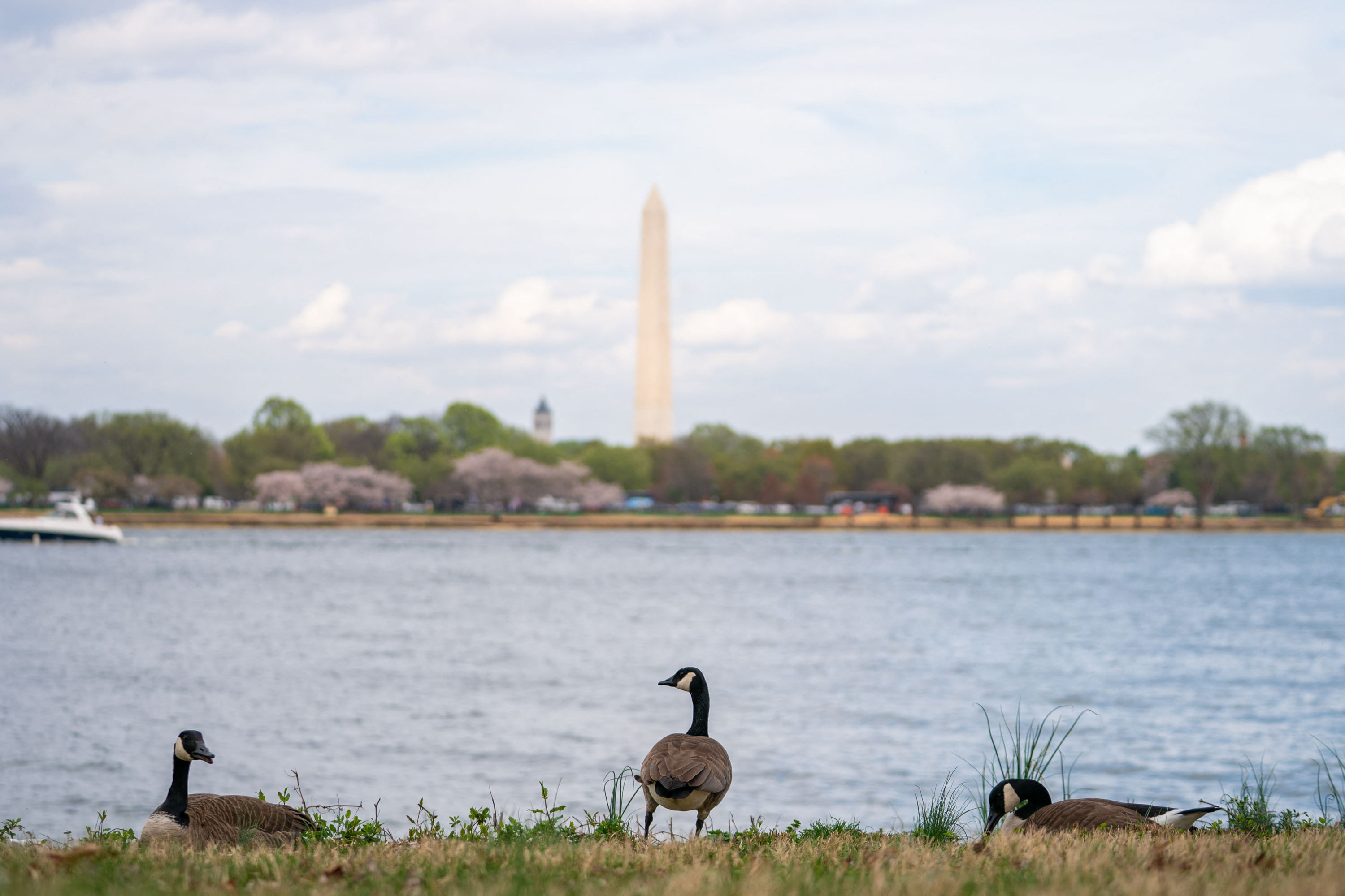 Trump denounces 'ecological disaster' on the Potomac River and blames ...
